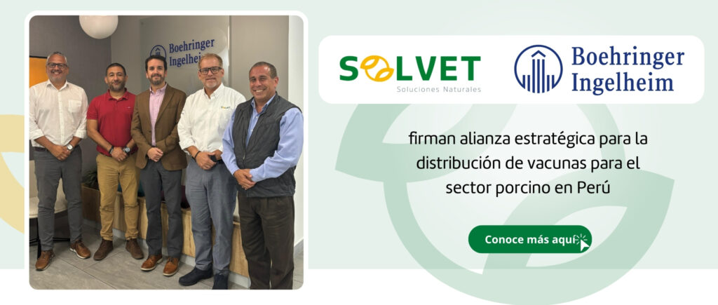 Inicio - Solvet